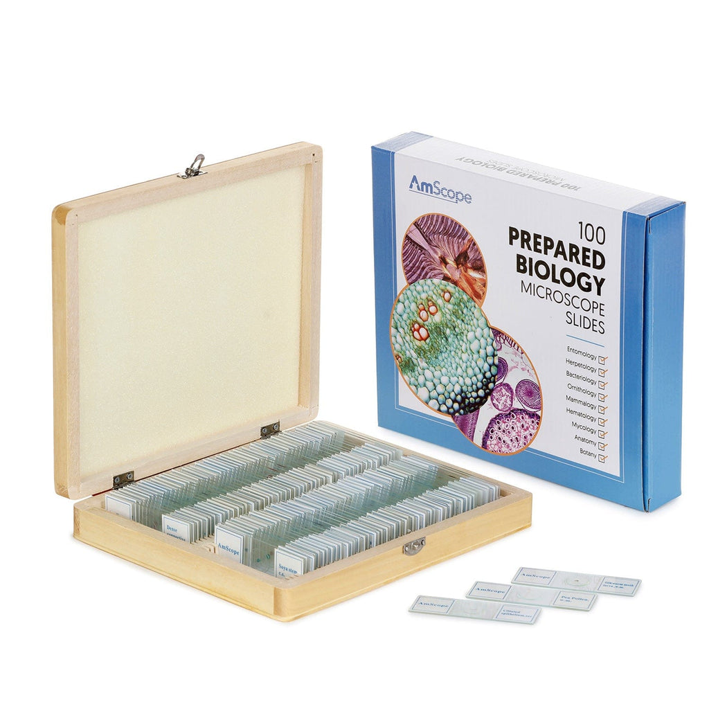 AmScope M150 Series Portable Student Monocular Compound Microscope 40X ...