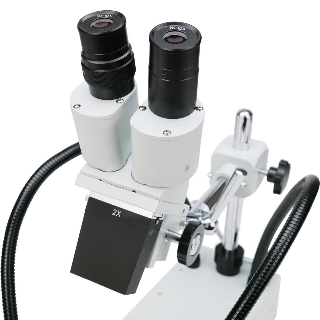 AmScope SE420 Series Compact Fixed-Lens Binocular Stereo Microscope 20 ...